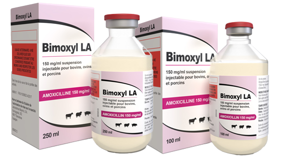 Bimeda France - Bimoxyl LA