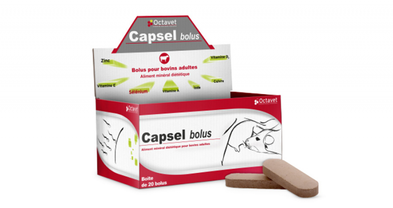 Bimeda France - Capsel Bolus